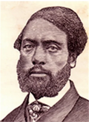 William Craft - Georgia Press