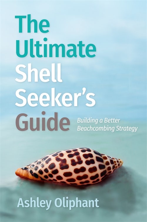 The Ultimate Shell Seeker’s Guide